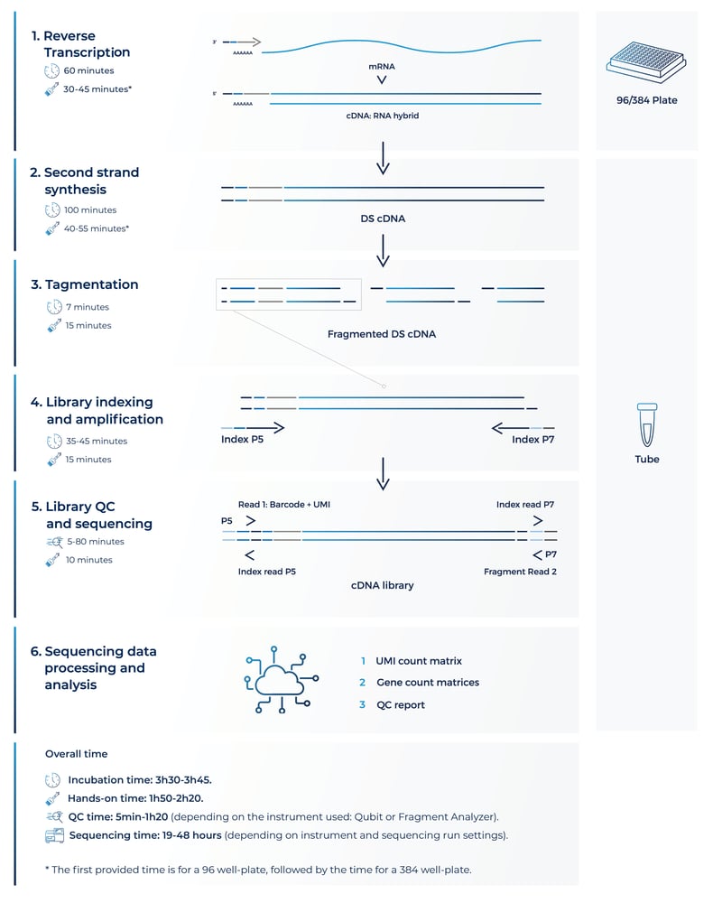 MERCURIUS™ BRB-seq kit for Illumina® | Alithea Genomics MERCURIUS™ BRB-seq kit for Illumina® | Alithea Genomics